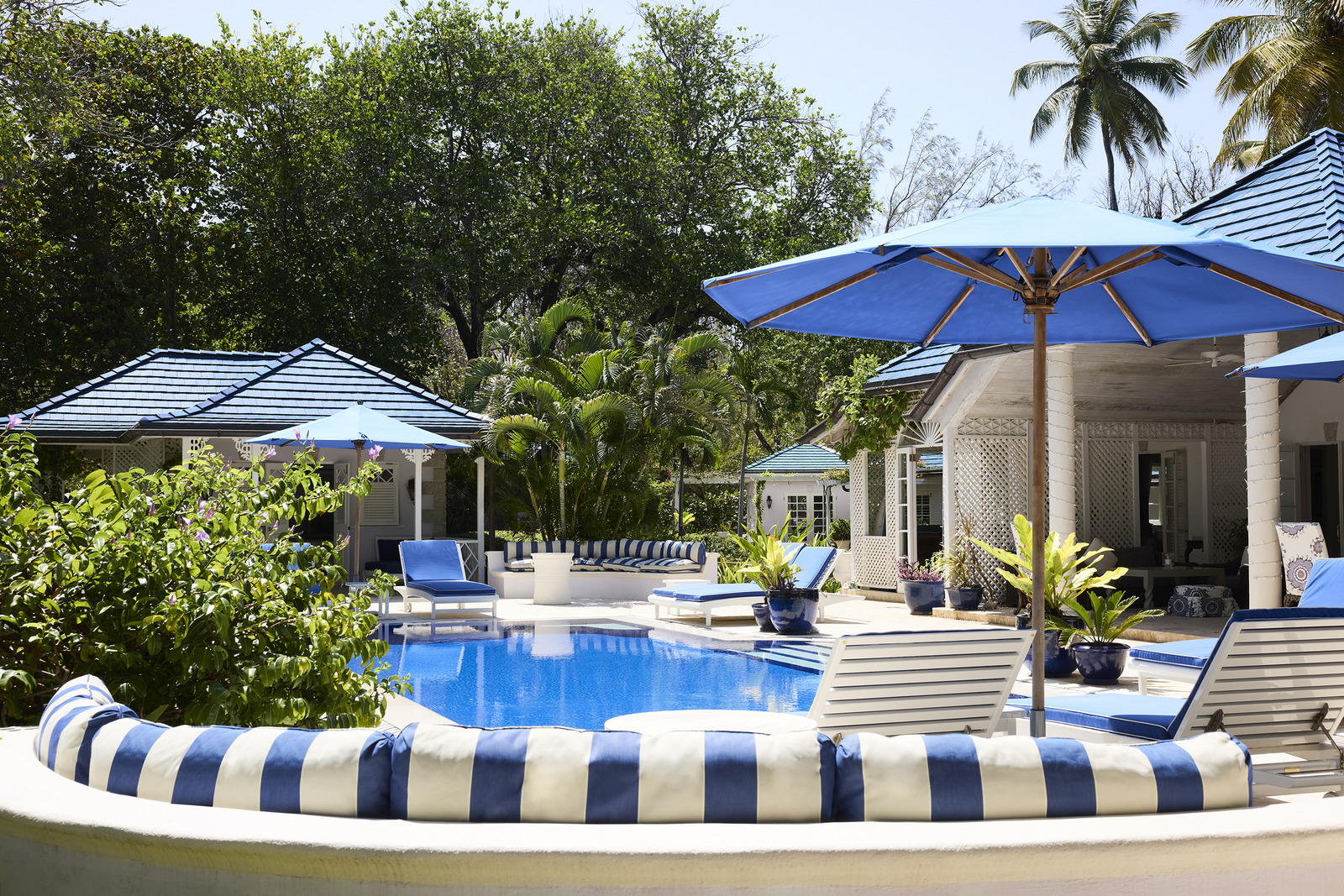 Jacaranda | Mustique Island